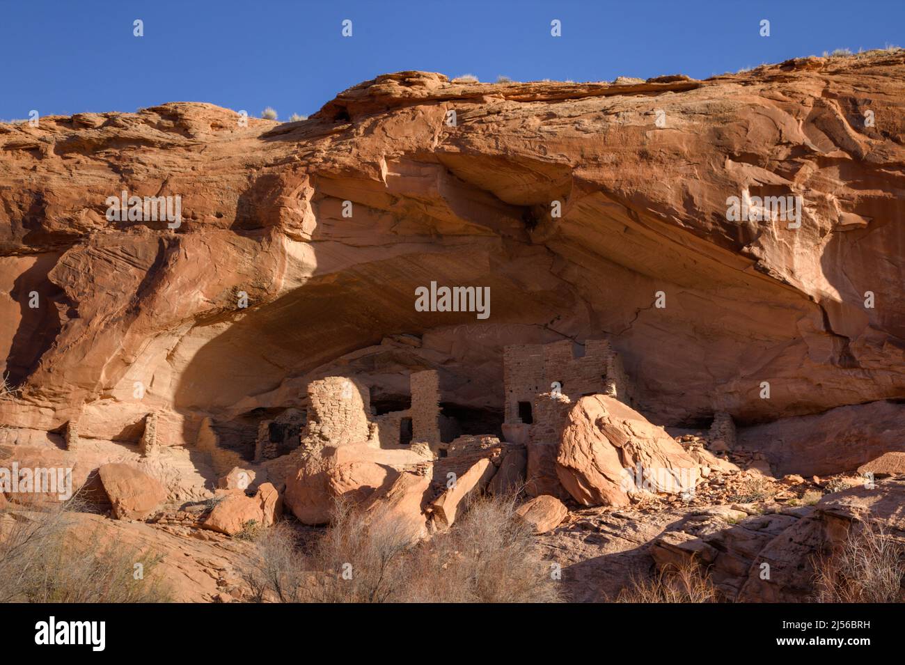 River House Ruin near the San Juan River, Shash Jaa Unit, Bears Ears ...