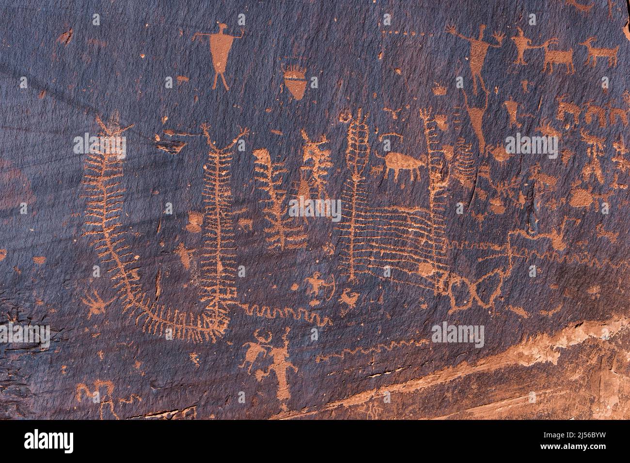 Fremont Culture Native American petroglyphs on a rock art panel in the ...