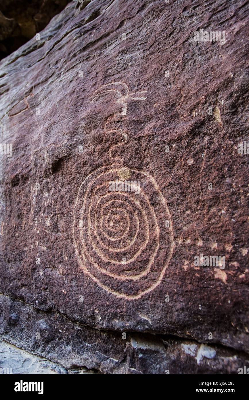 A horned snake petroglyph panel in Nine Mile Canyon in Utah, depicting ...
