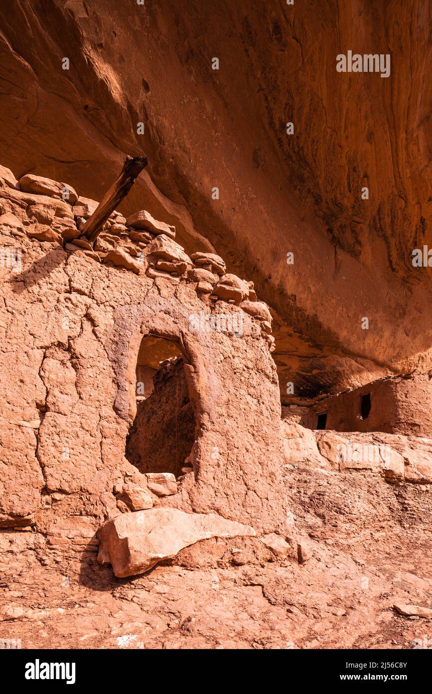 Cliff dwellings in the Moon House Ruin complex on Cedar Mesa, Bears ...