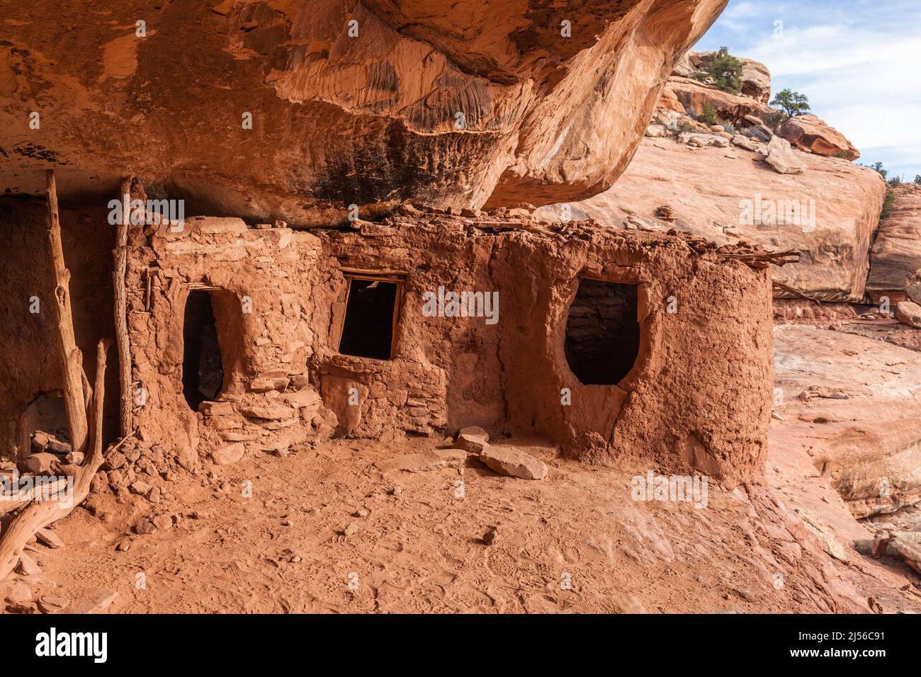 Cliff dwellings in the Moon House Ruin complex on Cedar Mesa, Bears ...