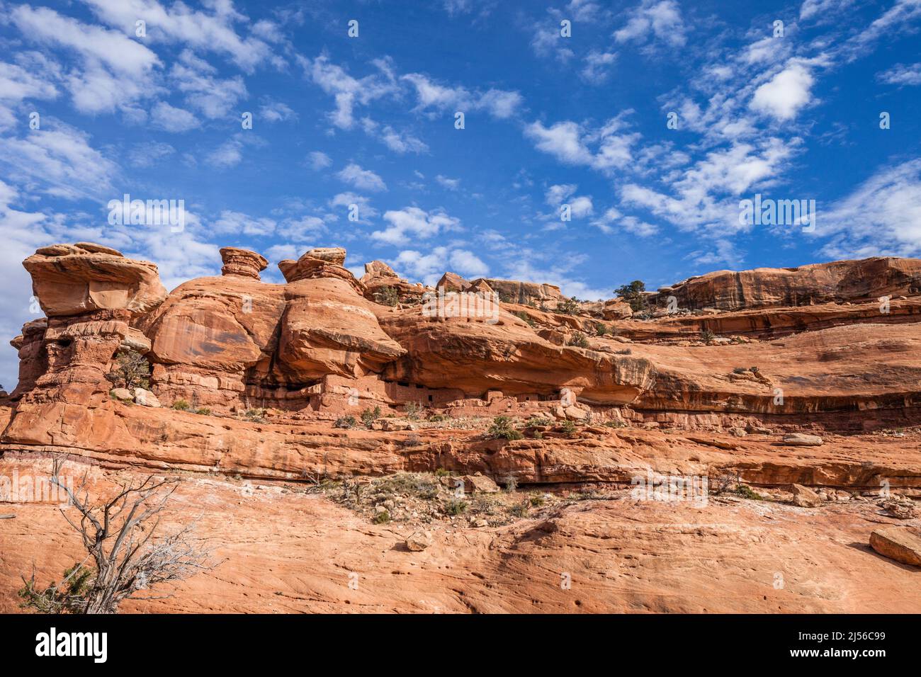 The Moon House Ruin complex on Cedar Mesa, Bears Ears National Monument ...