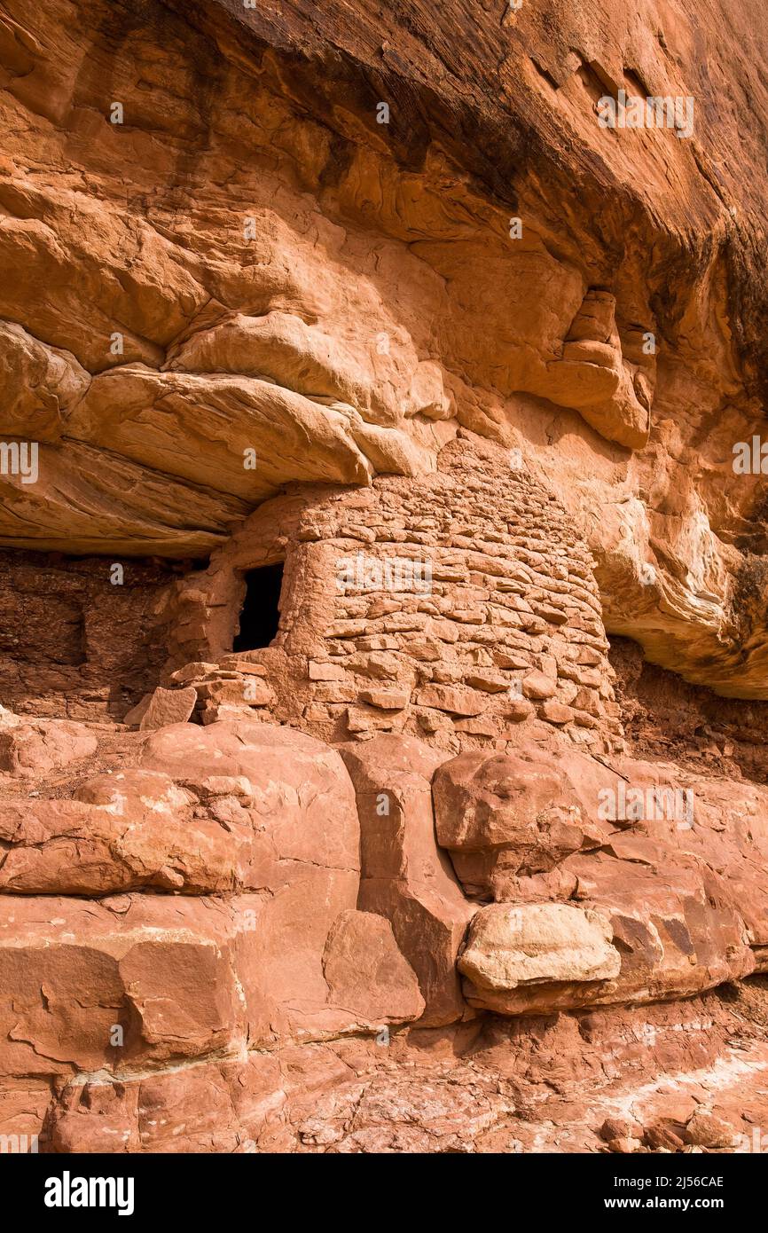 A cliff dwelling in the Moon House Ruin complex on Cedar Mesa, Bears ...