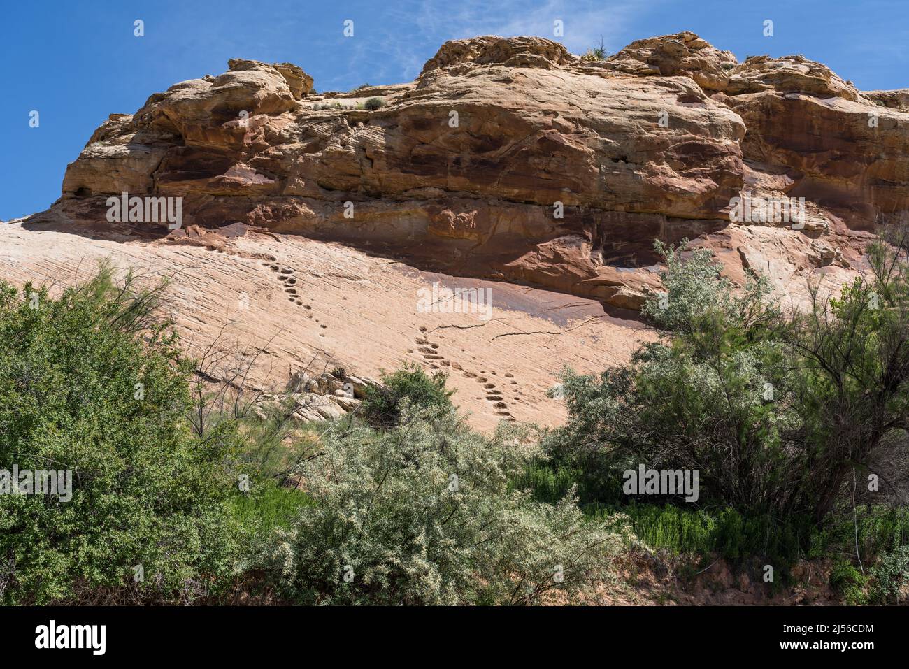 Moki or moqui steps hi-res stock photography and images - Alamy