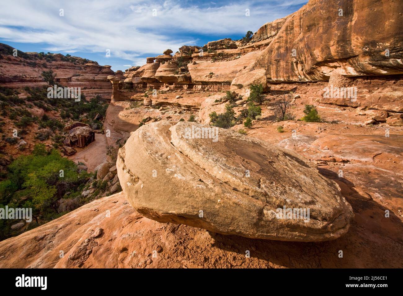 The Moon House Ruin cliff dwelling under the sandstone domes on Cedar ...