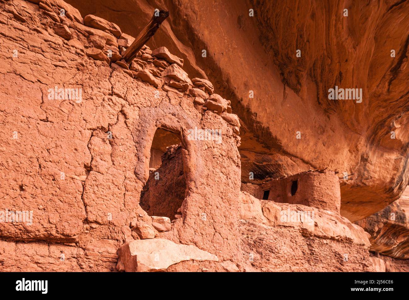 Cliff dwellings in the Moon House Ruin complex on Cedar Mesa, Bears ...