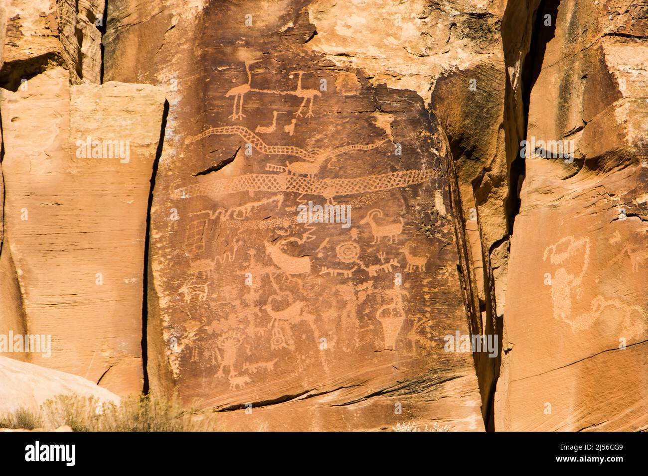 The Sandhill Crane petroglyph panel in Nine Mile Canyon in Utah depicts ...