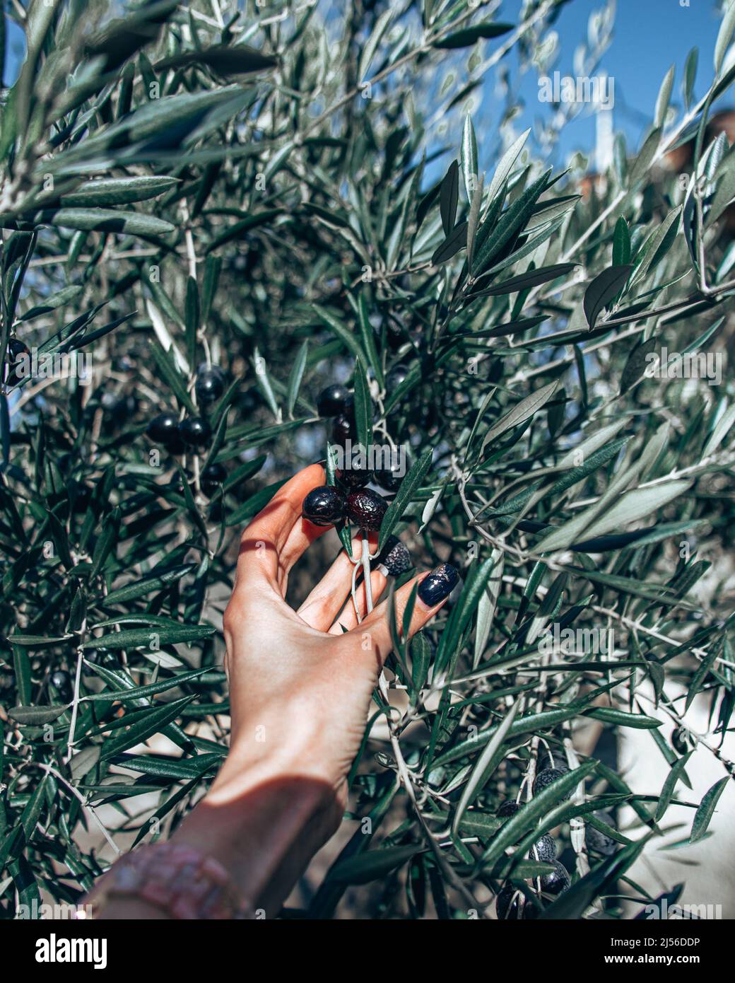 Hand reaching hi-res stock photography and images - Alamy