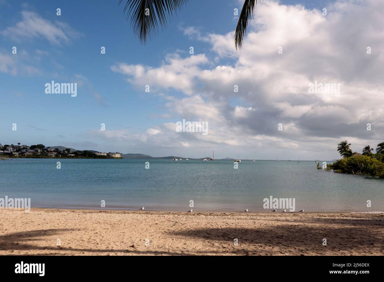 A beach foreshore with seagulls on the waterline and yachts on the ...