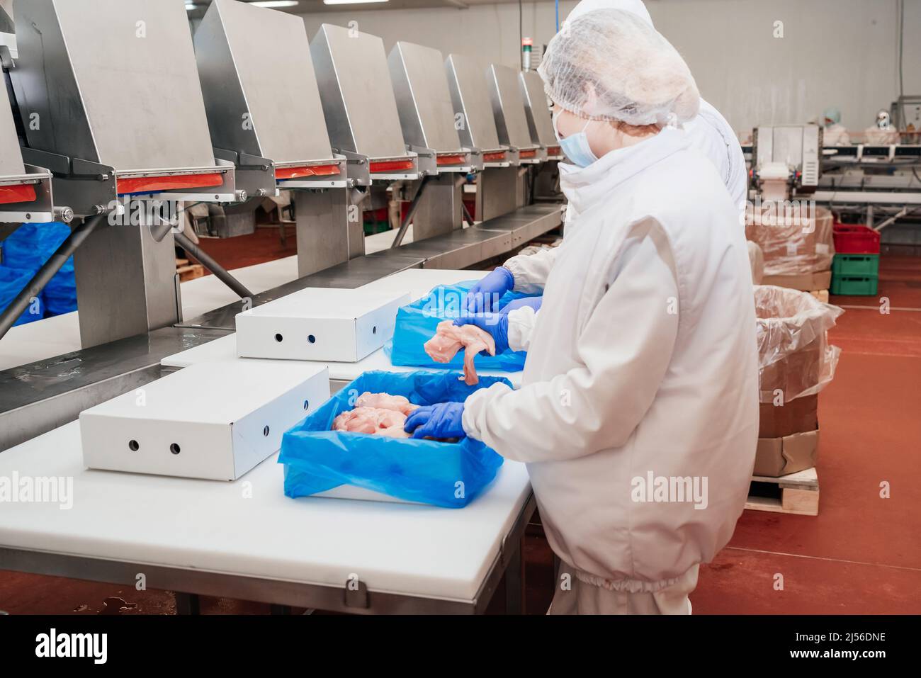 Modern poultry processing plant.Factory for the production of food from ...