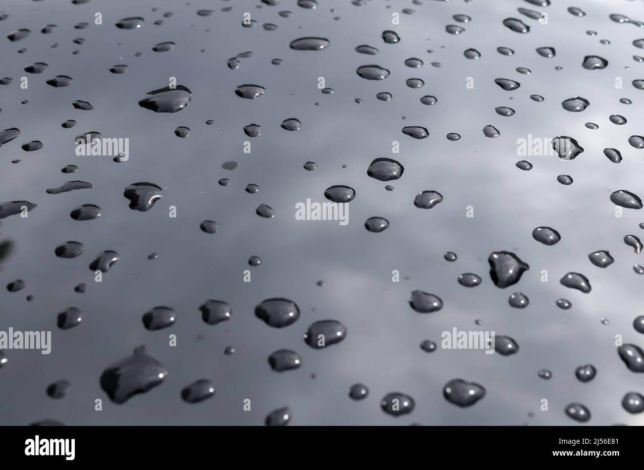 Rain drops on a black metallic car surface in a closeup view Stock ...