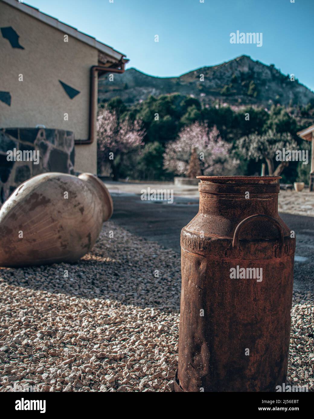 metal rustic can outside on the patio Stock Photo - Alamy