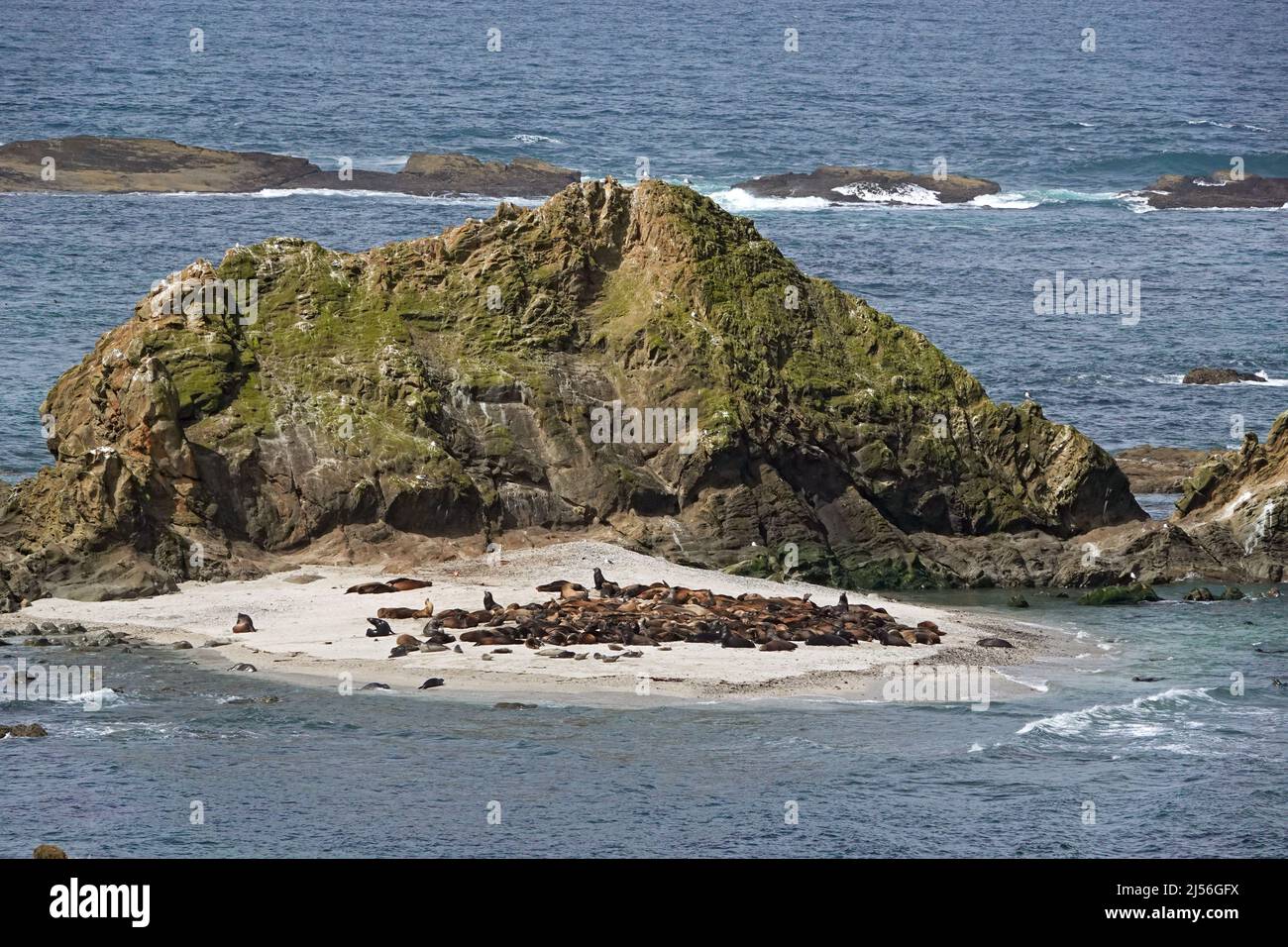 This tiny sandy beach at Simpson Reef in Cape Arago State Park near ...