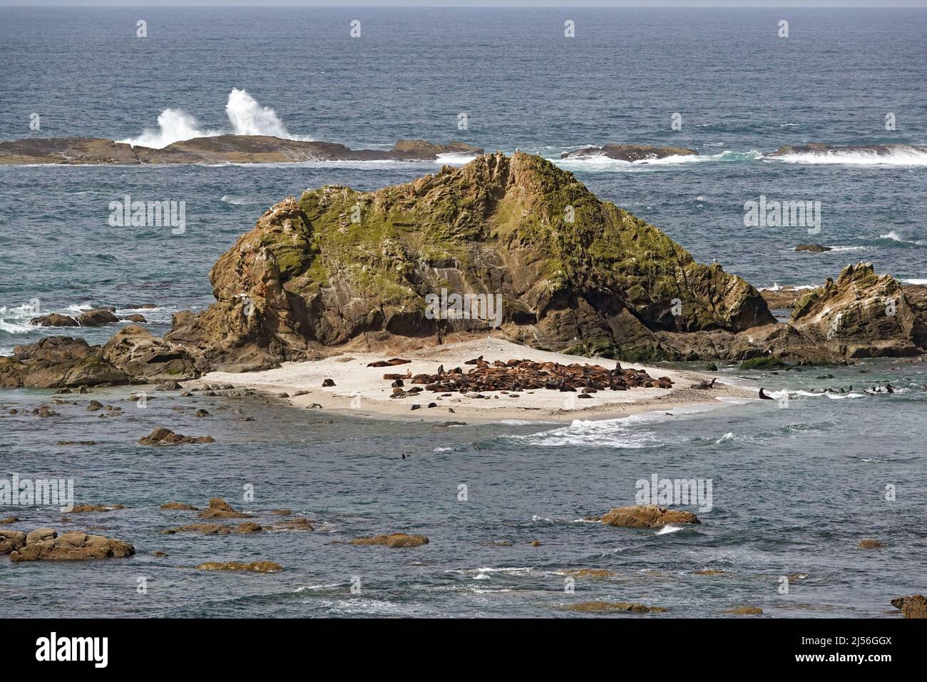 This tiny sandy beach at Simpson Reef near Charleston, Oregon, is a ...