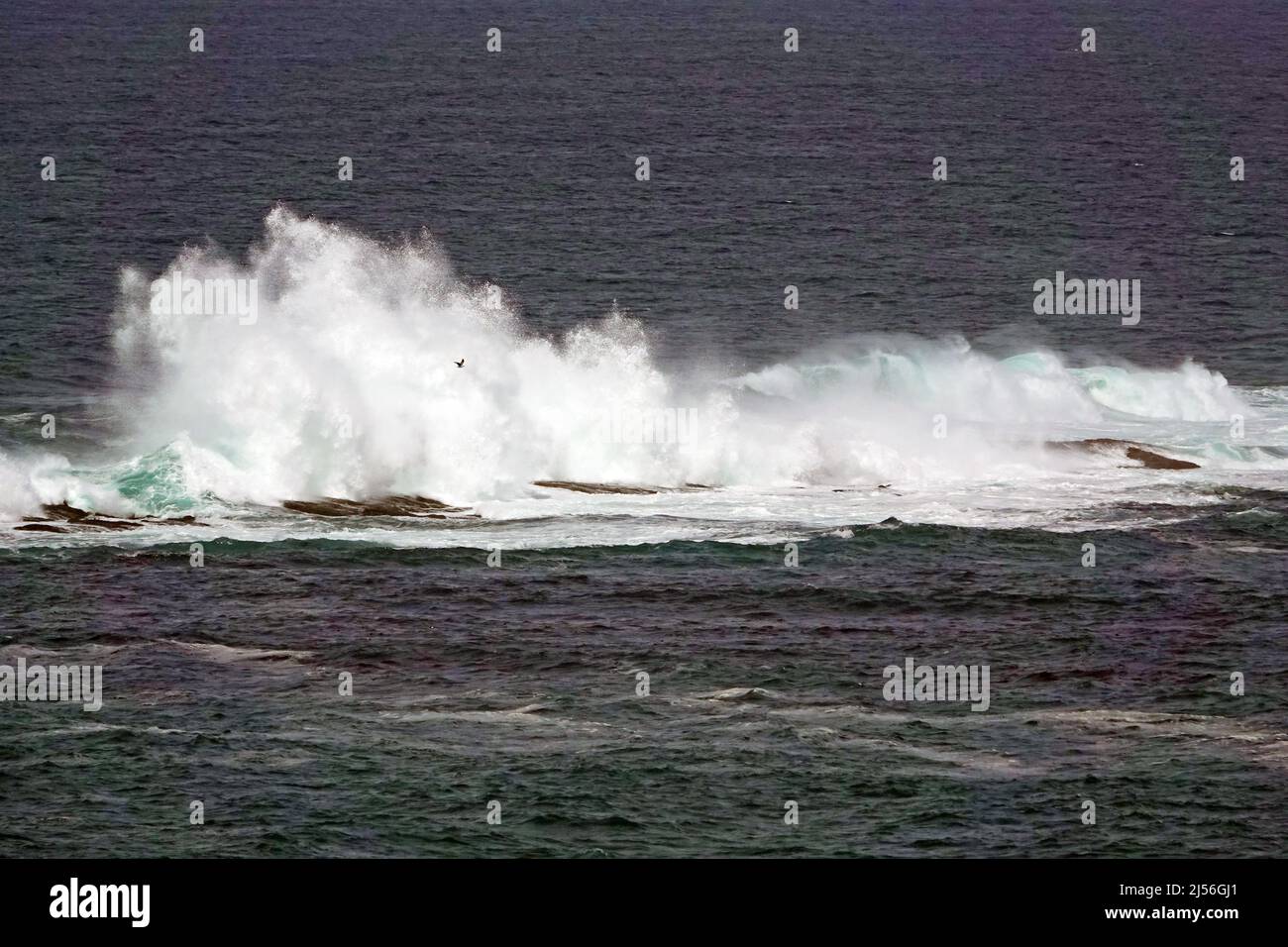 Simpson bay water hi-res stock photography and images - Alamy