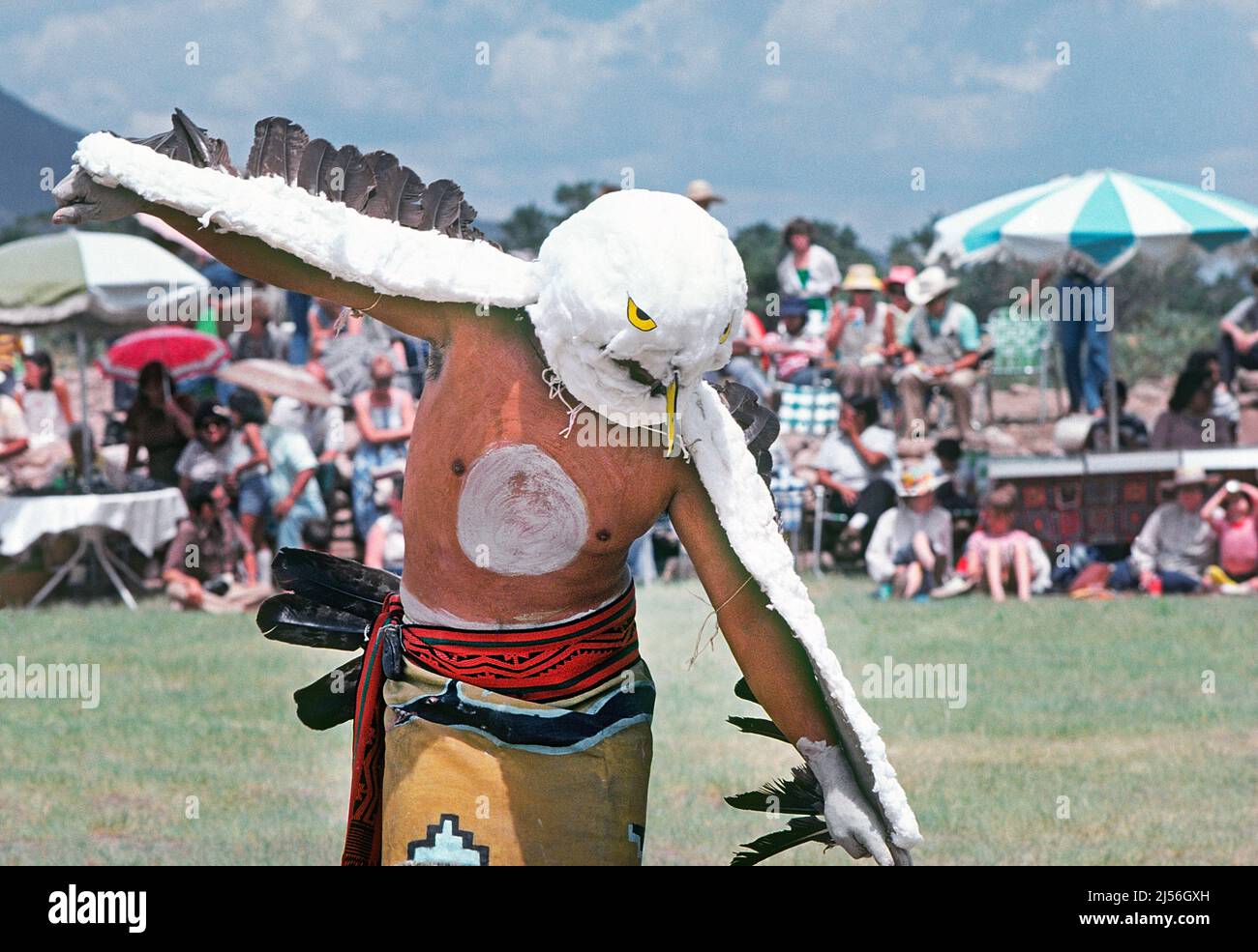 Prehistoric earth hi-res stock photography and images - Alamy