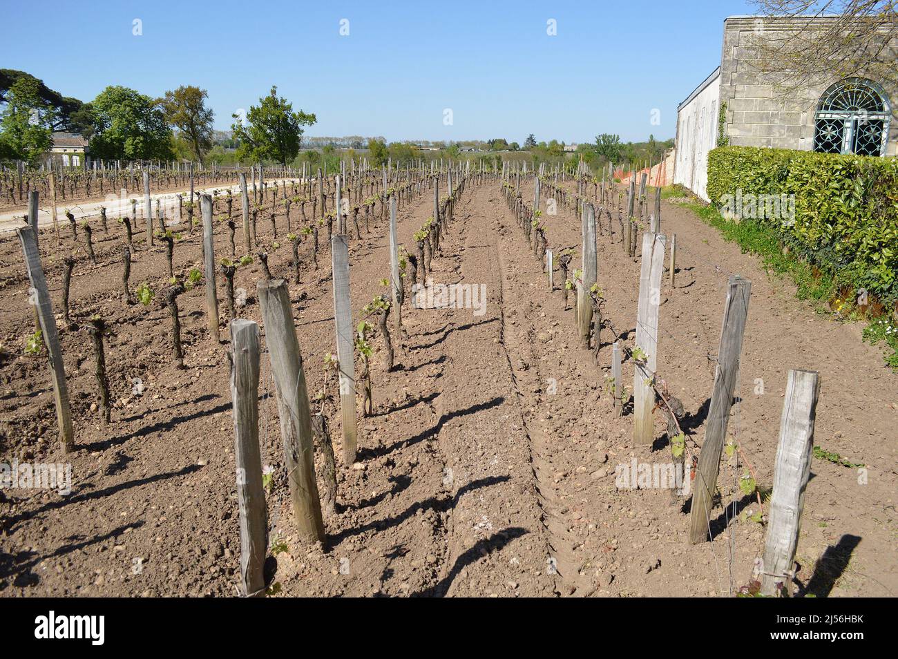 Pomerol france hi-res stock photography and images - Alamy