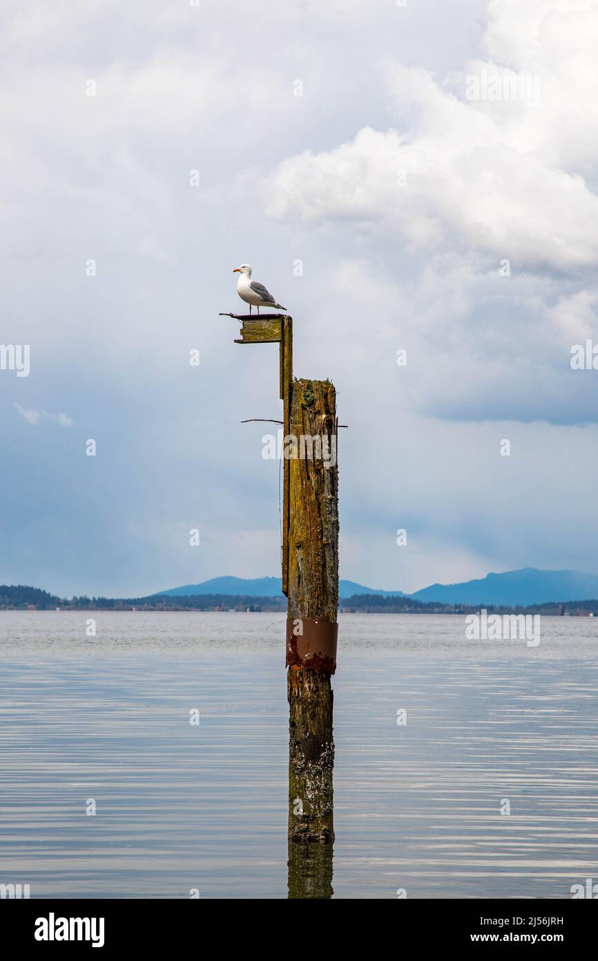 Over puget sound hi-res stock photography and images - Alamy