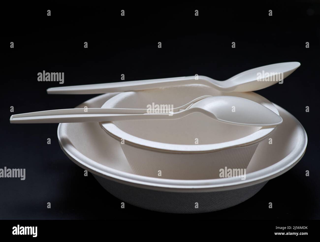 Paper dish and bowl with the disposable spoons Stock Photo - Alamy