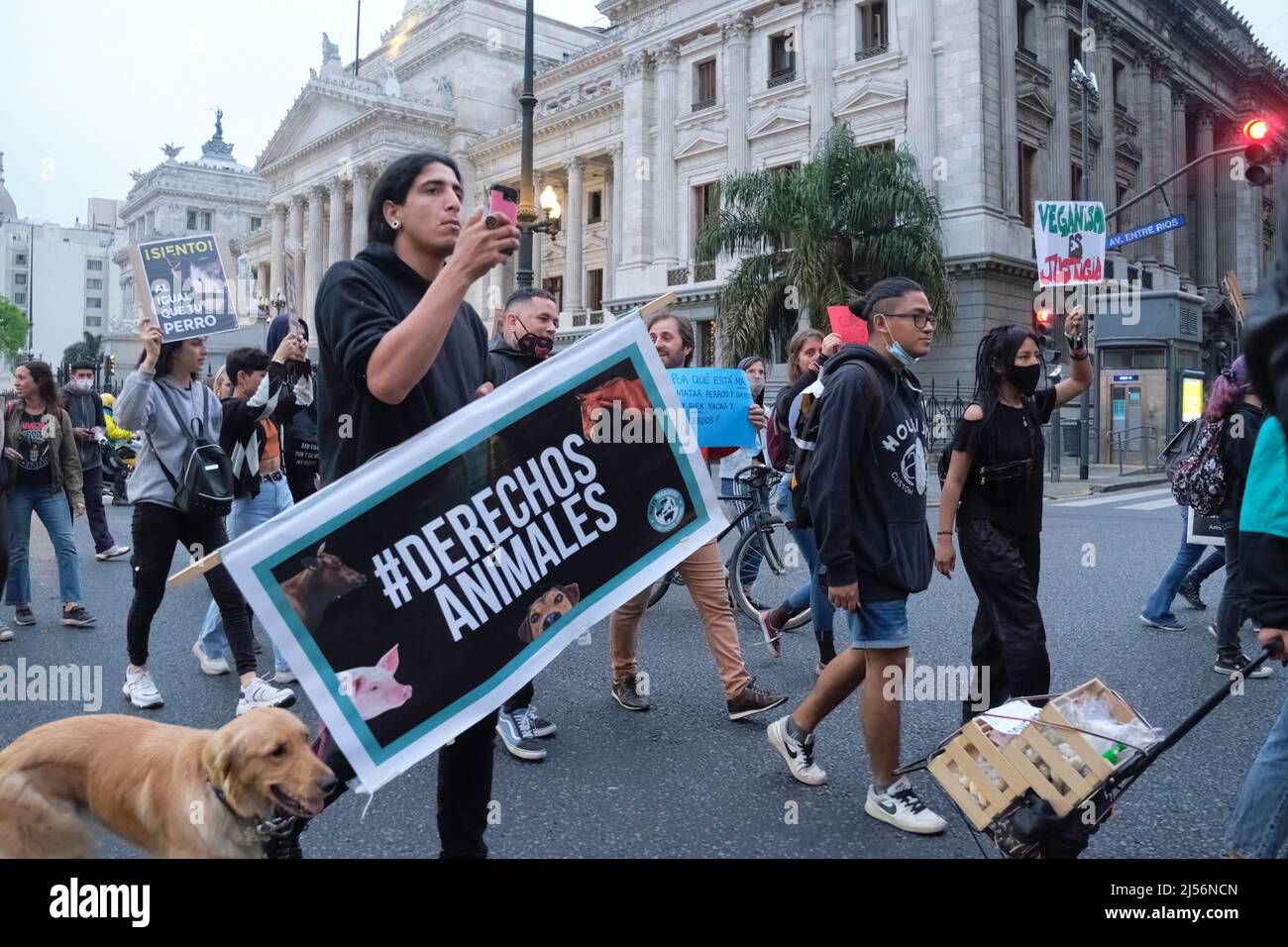 Buenos Aires, Argentina; Nov 1, 2021: World Vegan Day, activists ...