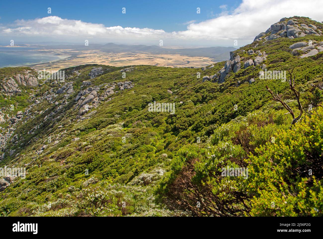 View north from the slopes of the Strzelecki Peaks on Flinders Island ...