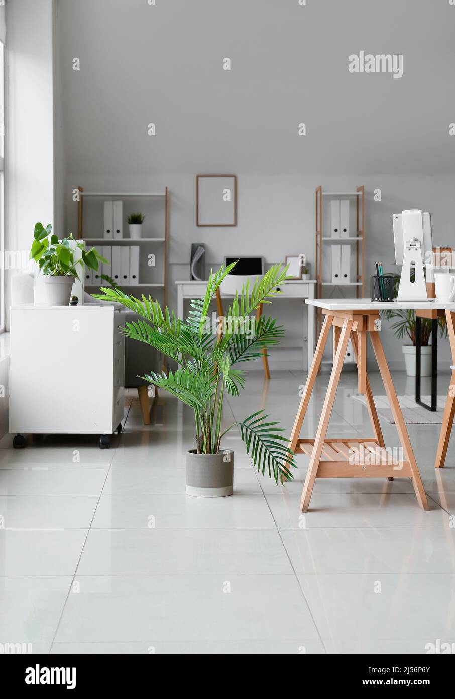 Stylish office workplace houseplant hi-res stock photography and images ...
