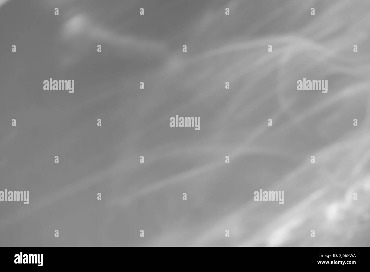 Underwater photography sun light Black and White Stock Photos & Images ...