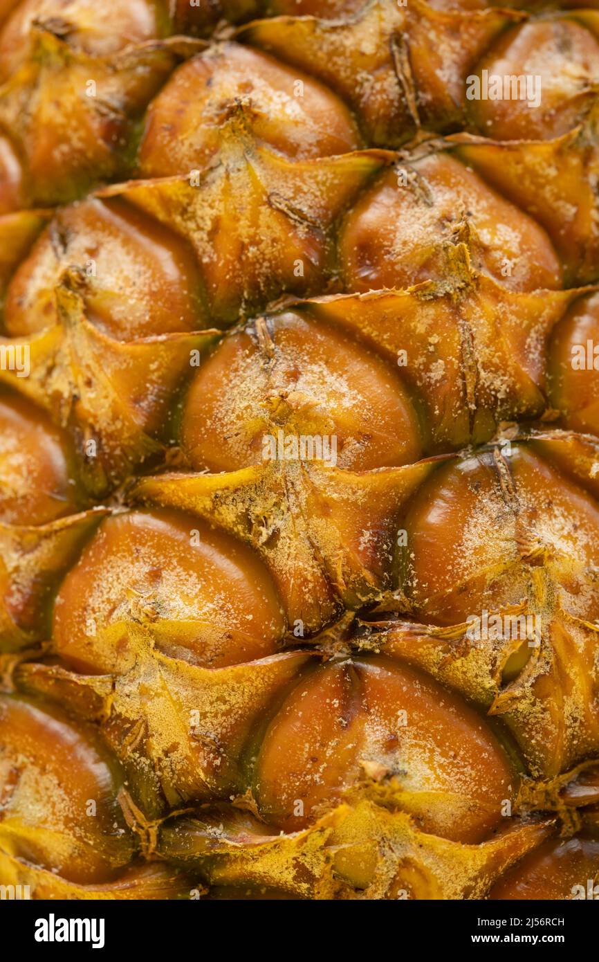 pineapple skin as background and texture Stock Photo - Alamy