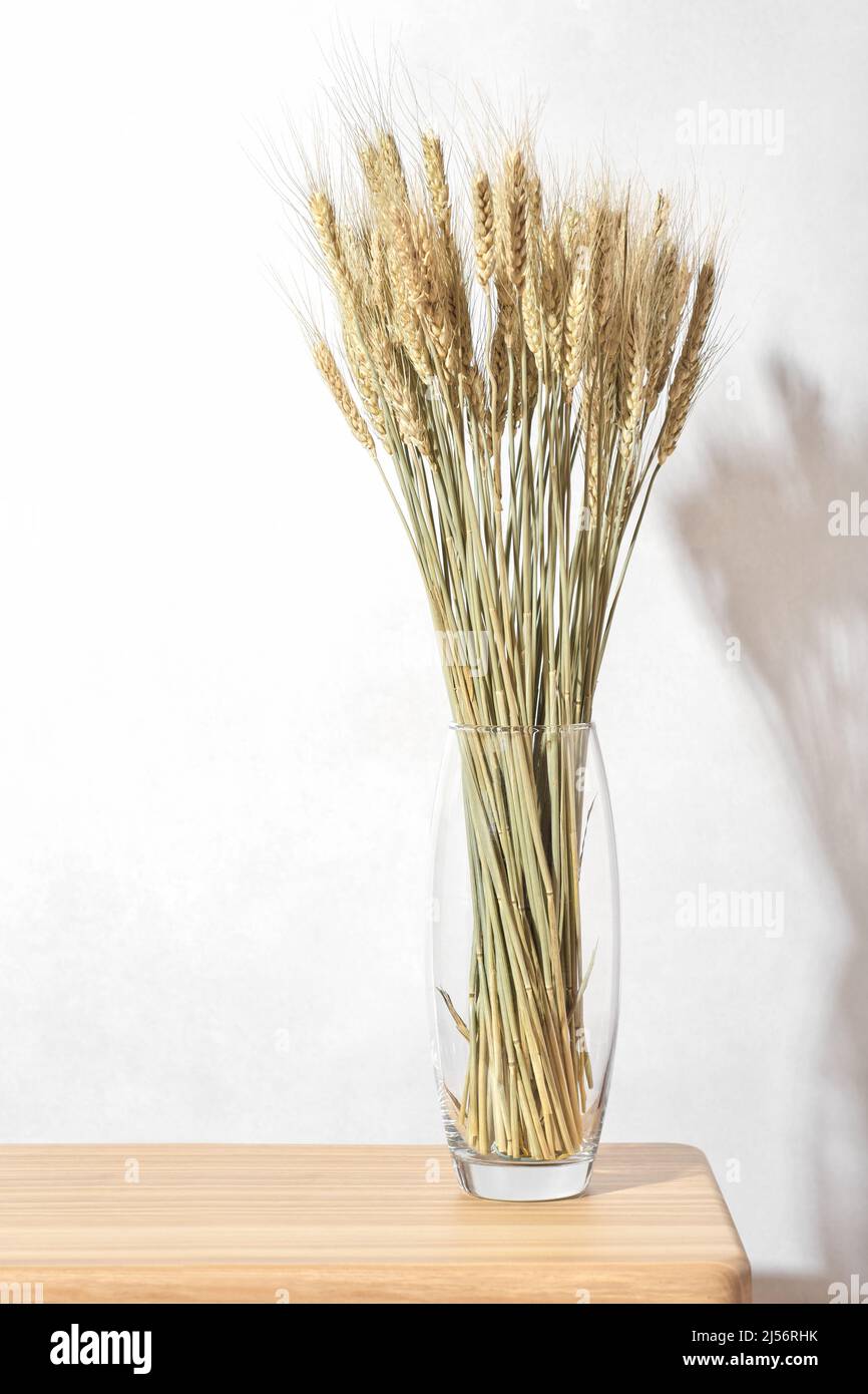 Composition with bouquet of dry barley spikelets in a glass vase, on ...