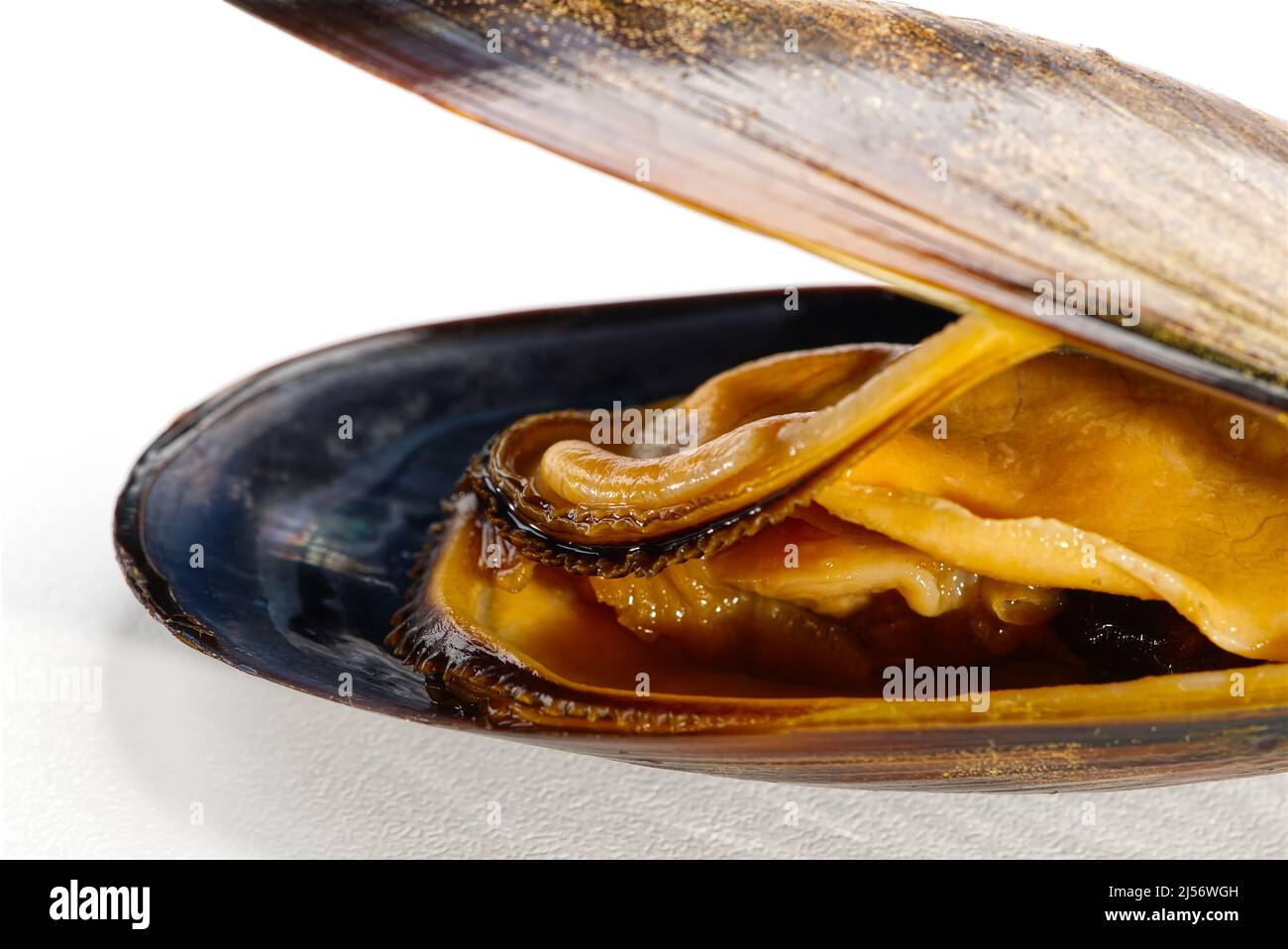 Boiled mussel isolated on a white background. deliciousness Stock Photo ...