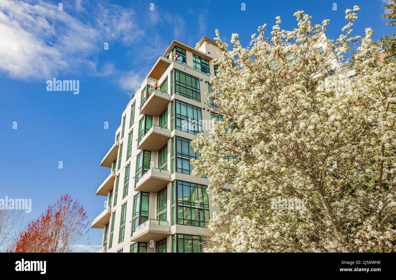 Neighborhood modern houses with spring flowers in BC, Canada. Canadian ...