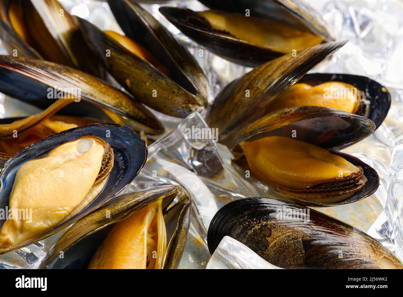 Shellfish dish. Seafood dishes. Mussels in sauce Stock Photo - Alamy