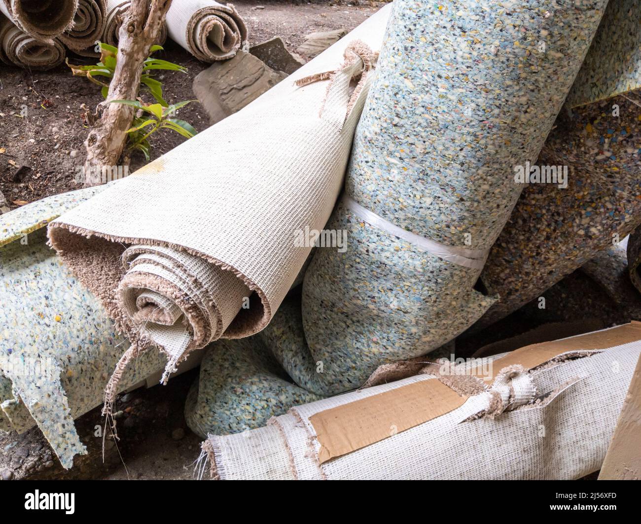 Close up, selective focus on ripped up carpet outside of an apartment ...