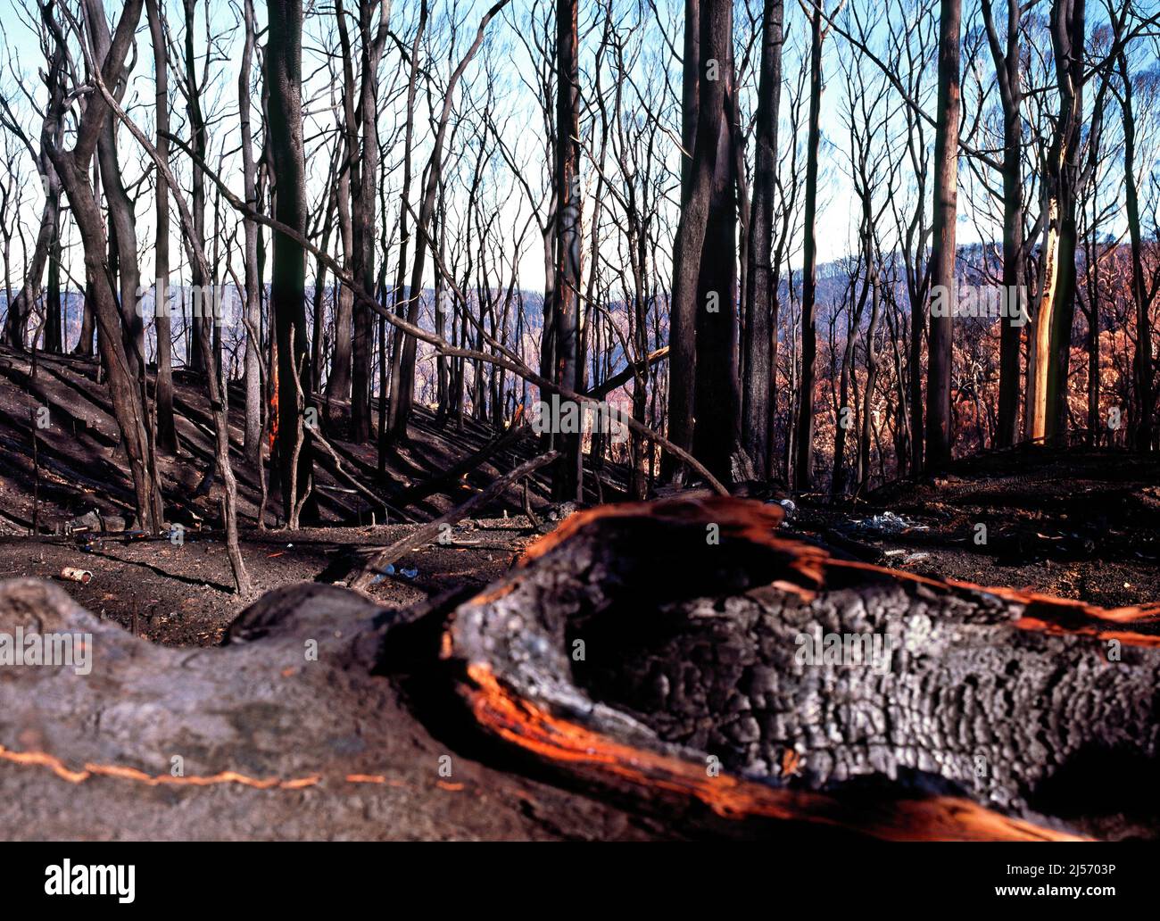 Black saturday bushfires hi-res stock photography and images - Alamy