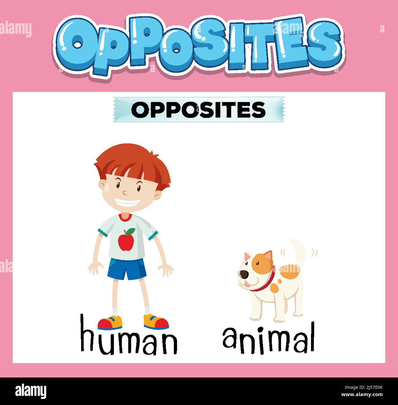 Opposite Words Opposite Words Opposite Words For Kids Gender Of