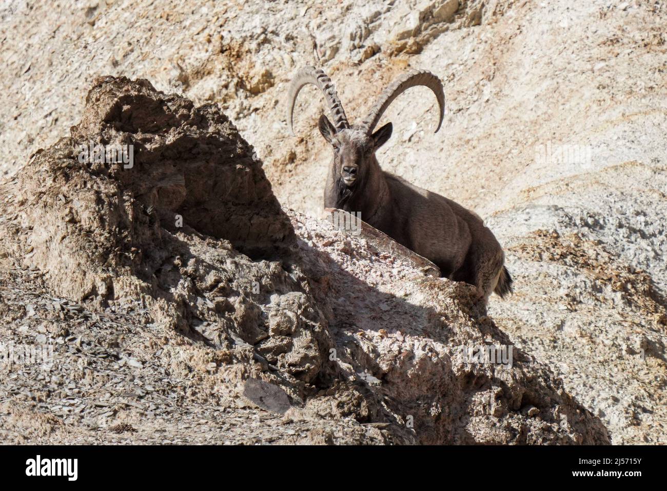 HAMI, CHINA - APRIL 20, 2022 - Photo taken on April 20, 2022 shows a ...