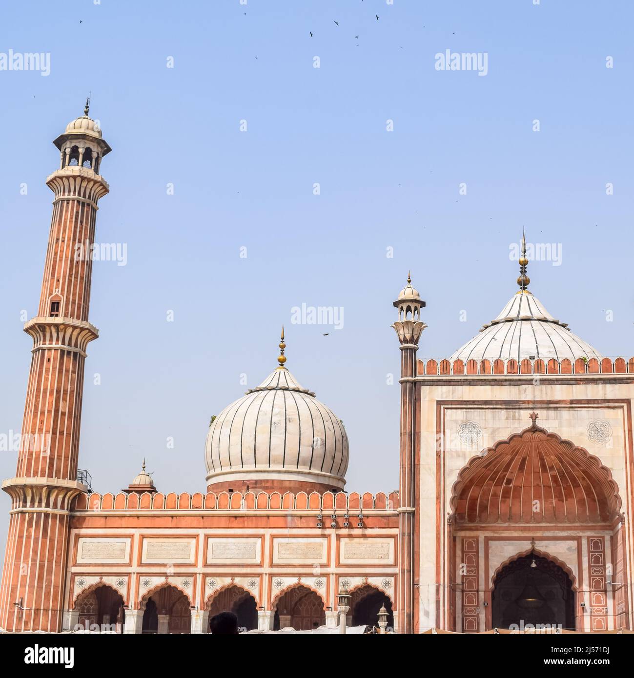 The spectacular architecture of the Great Friday Mosque (Jama Masjid ...