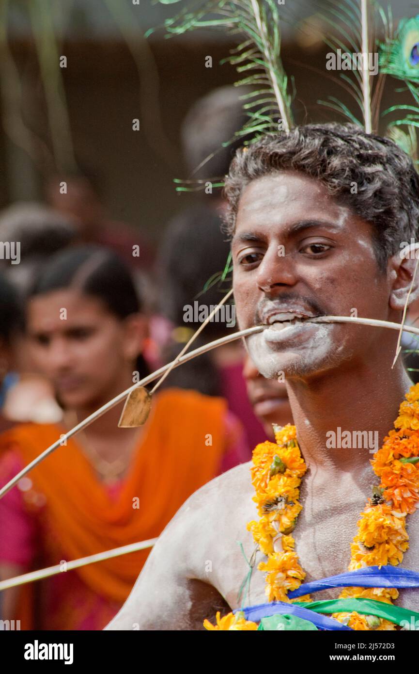 Man piercing spikes through cheeks discharging vow in Thaipusam ...