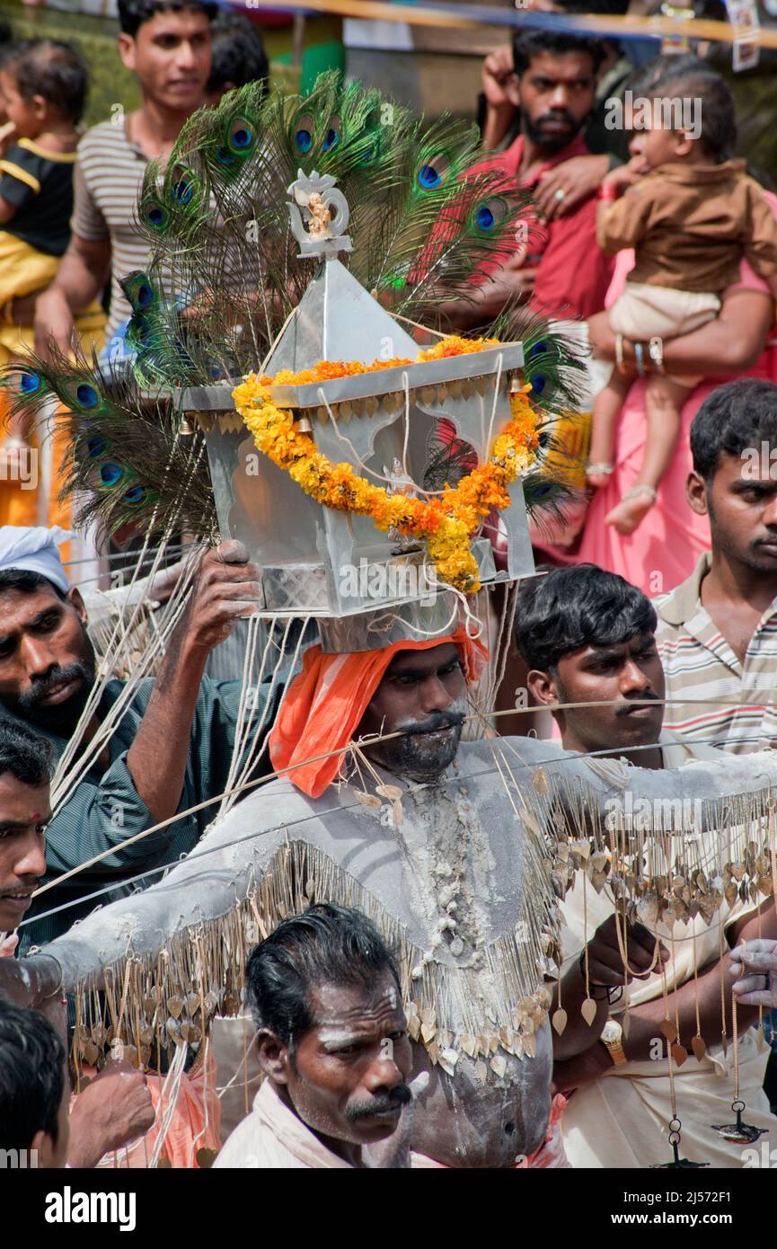 Man piercing spikes through cheeks discharging vow in Thaipusam ...