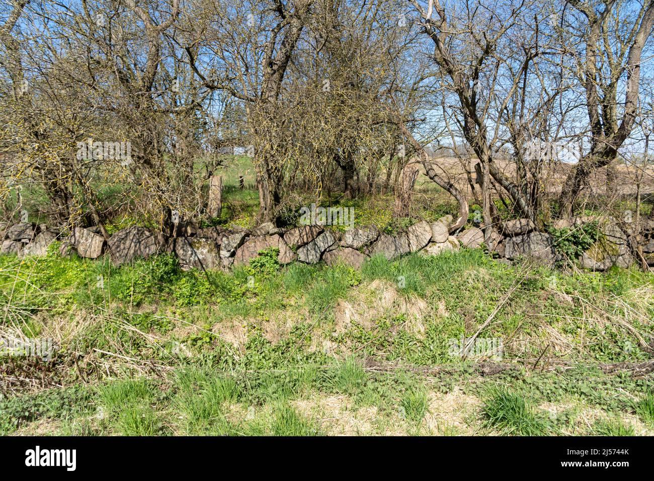 Old stone wall field hi-res stock photography and images - Alamy
