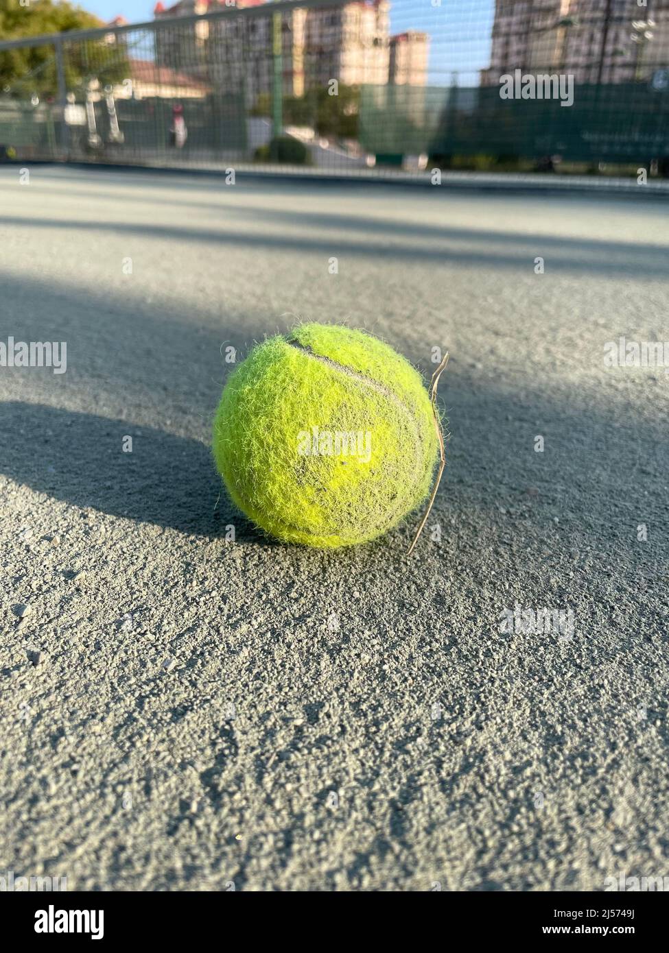 Tennis Balls in Focus - the Magic of the Brightly Colored Ball Stock ...
