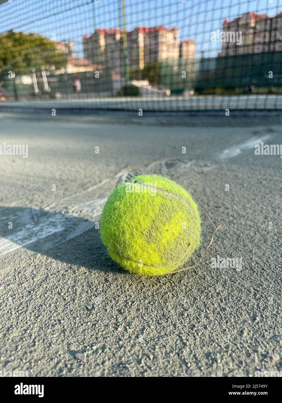 Tennis Balls in Focus - the Magic of the Brightly Colored Ball Stock ...