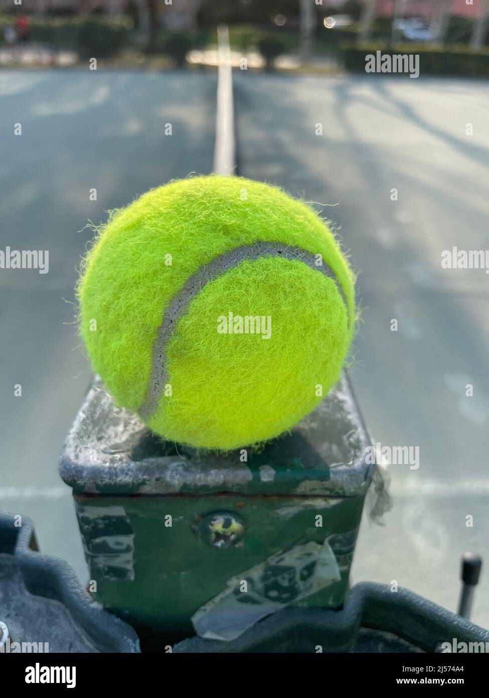 Tennis Balls in Focus - the Magic of the Brightly Colored Ball Stock ...
