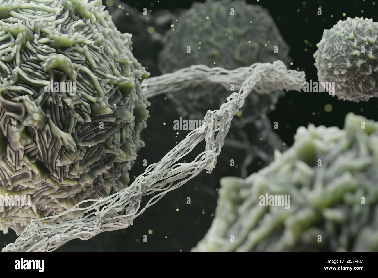 close up of moss biological cells or micro organism Stock Photo - Alamy