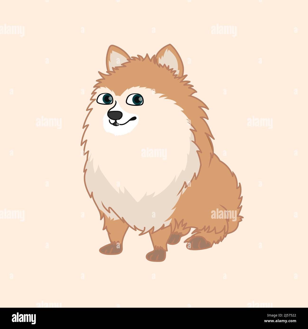 Pomeranian dog cartoon illustration Stock Vector Images - Alamy