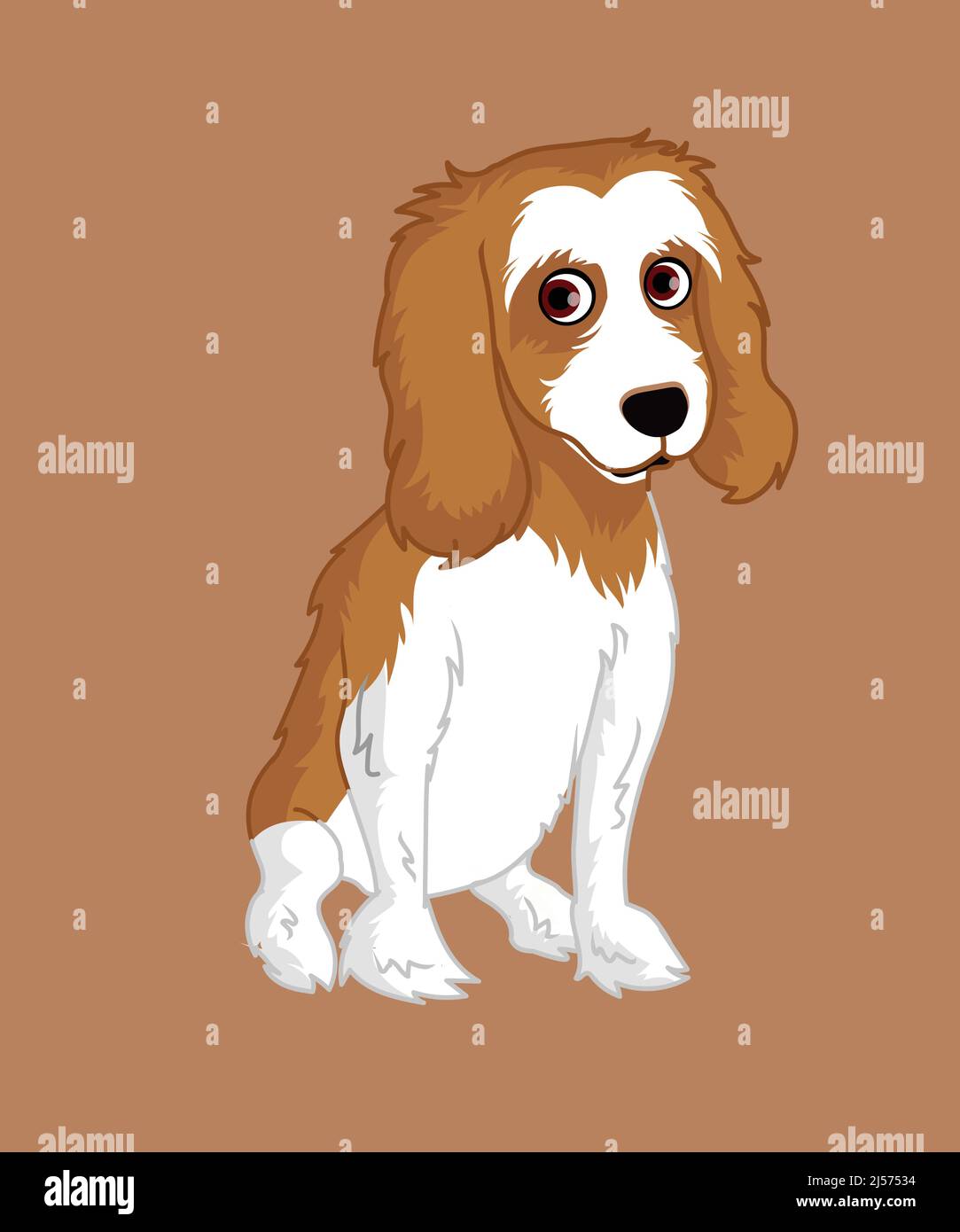 Cocker spaniel sitting vector illustration Stock Vector Image & Art - Alamy