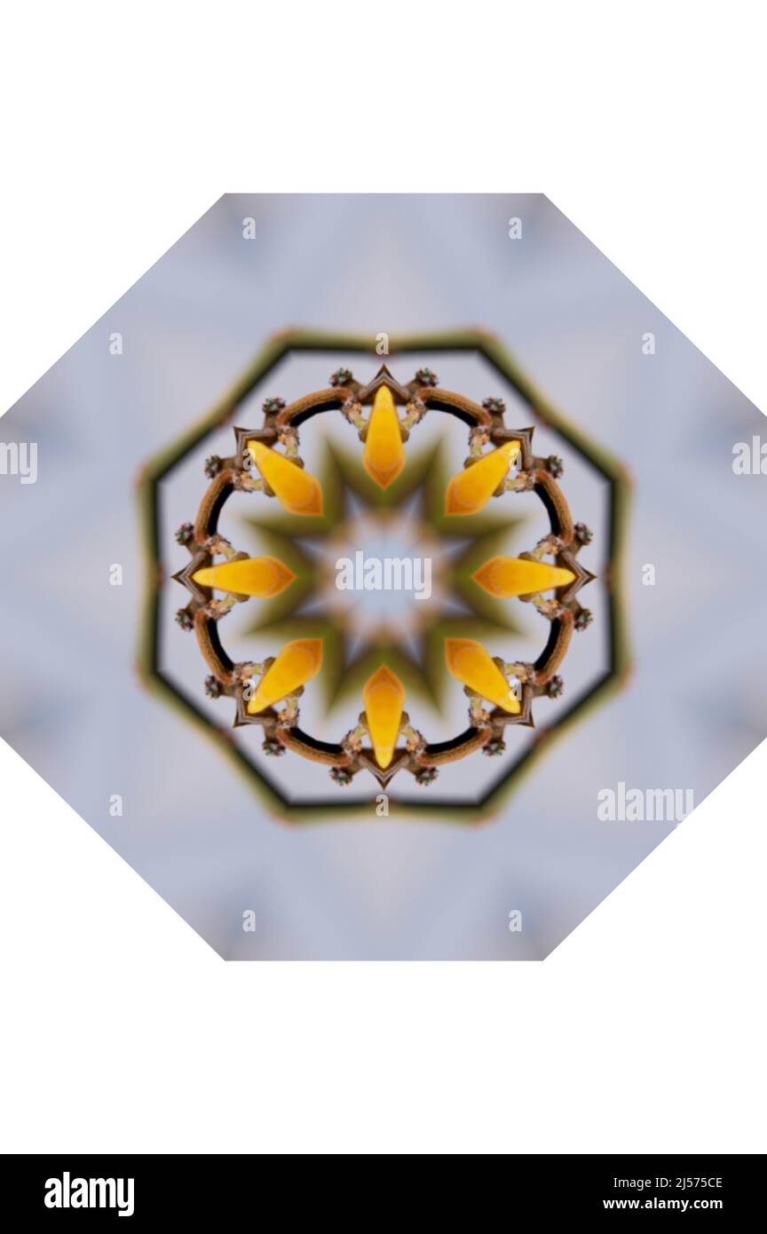 Artwork using Computer Generated Images Stock Photo - Alamy