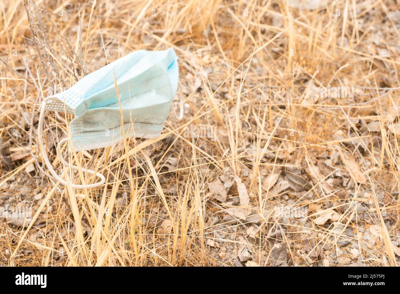 Medical mask placed on dry withered grass Stock Photo - Alamy