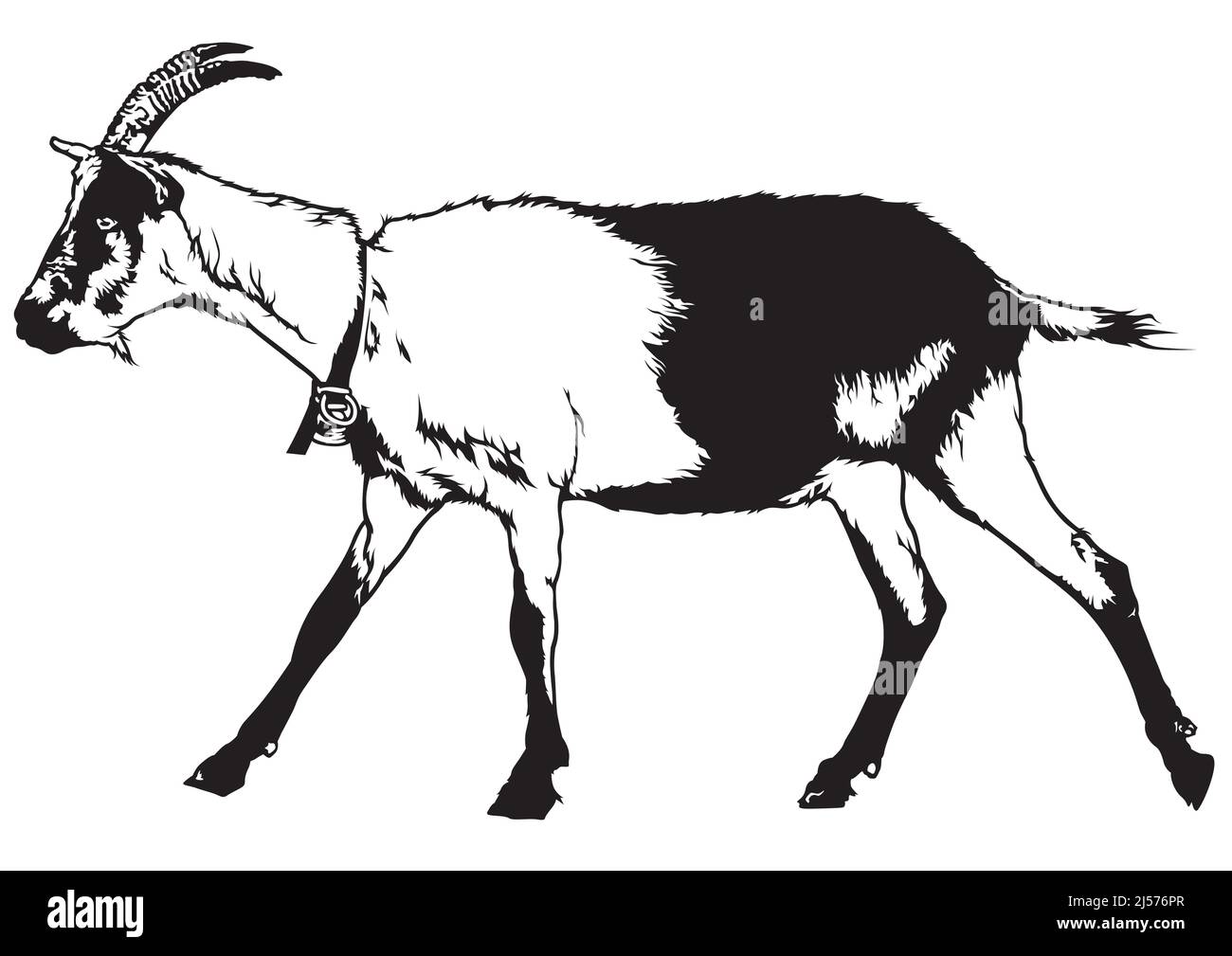 Side view of goat Stock Vector Images - Alamy