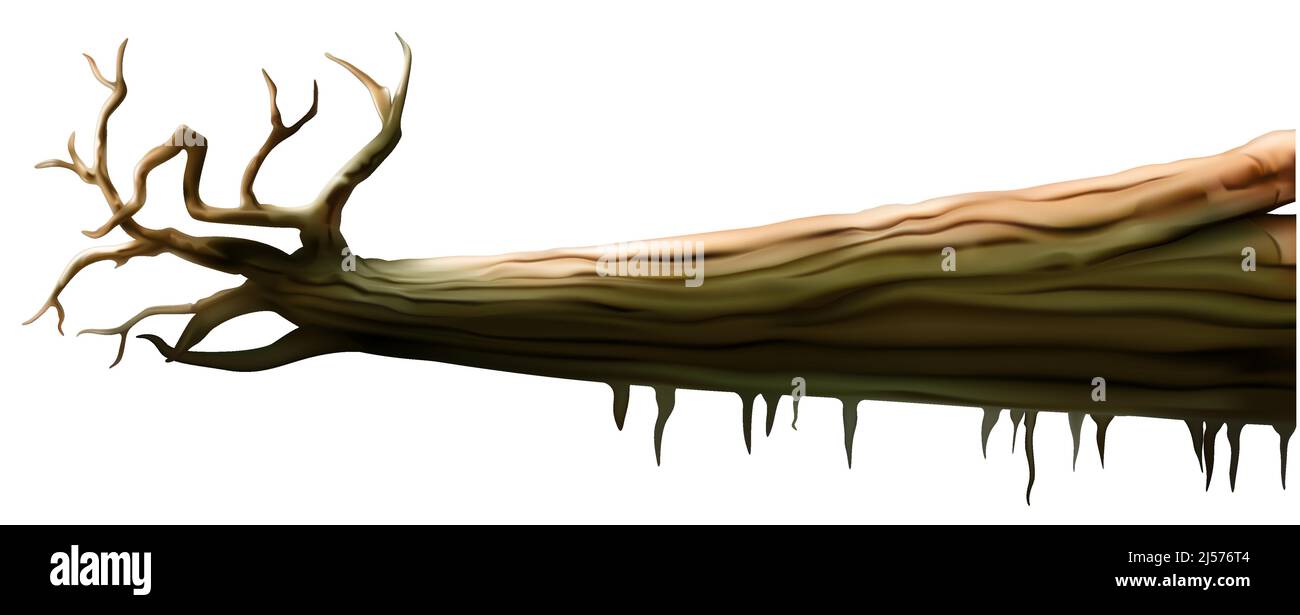 Dead Tree Trunk Stock Vector Image & Art - Alamy